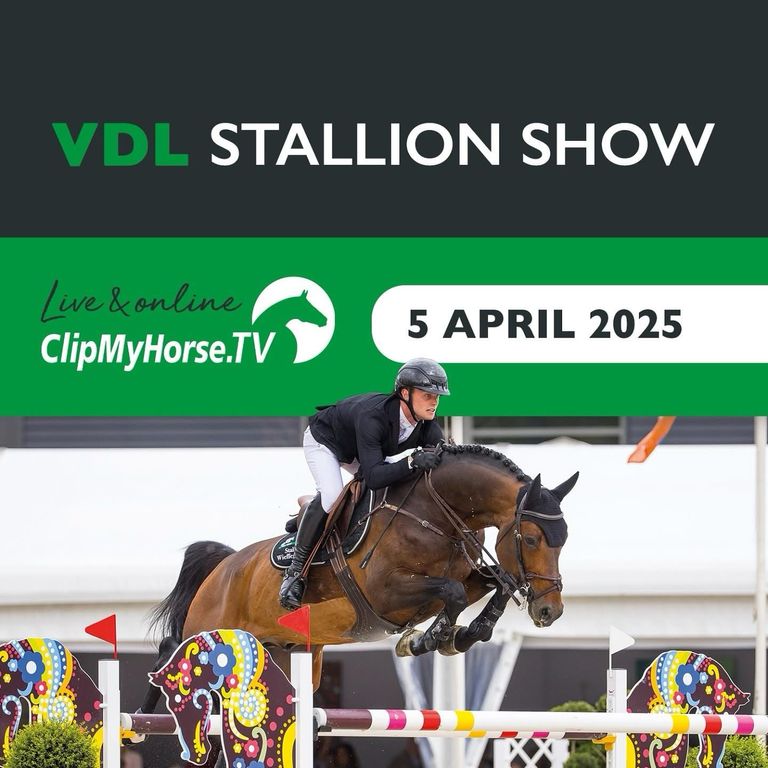 Live Stream - VDL Stud Hengstenshow - 2025 | Videos, Live Streams, Films and Shows | ClipMyHorse.TV