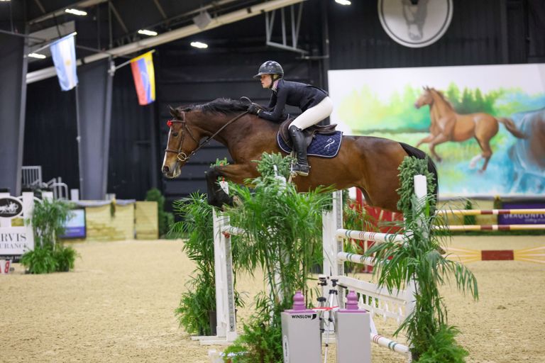 USHJA Hunter 2'9" - WEC Ohio Midwest Indoors II - 2023 | Videos, Live ...