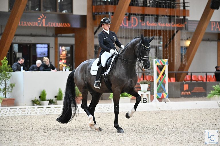 CDI1* - Prix St Georges - CDI3* Le Mans - 2025 | Videos, Live Streams ...