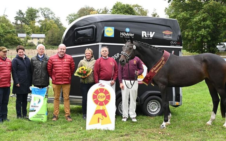 Live Stream - DSP Stutenchampionat Hofgut Kranichstein in Darmstadt ...