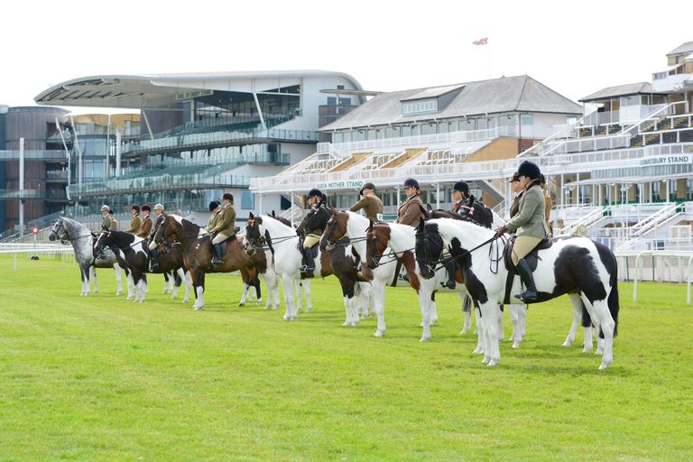 Live Stream - Aintree Working Hunter Show - 2022 | Videos, Live Streams ...