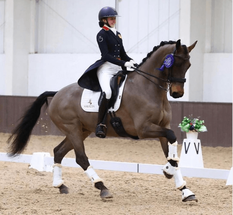 Novice 23 - Addington Equestrian - 2 Day British Dressage Show - 2023 ...