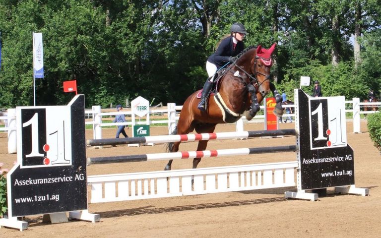 Live Stream - Springturnier Königsbrunn Gut Fohlenhof - 2023 | Videos ...