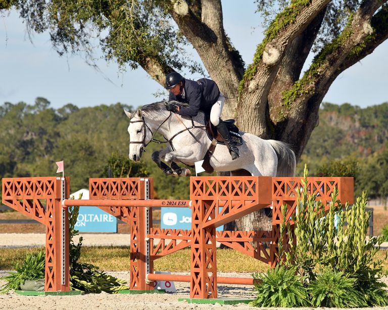 $2,500 USHJA Amateur National Hunter Derby - HITS Ocala Tournament ...