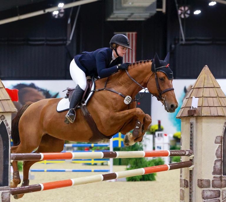 $3500 High Junior/AO Jumper Classic 1.45m II.2b - WEC Ohio Winter ...