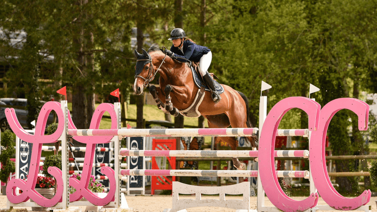 Live Stream - Grand National de CSO - Barbaste - 2025 | Videos, Live ...