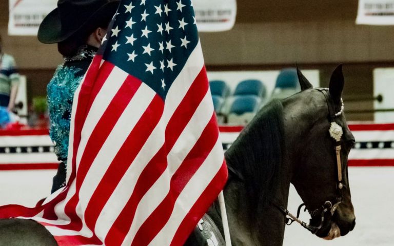 ASB Park Pleasure Jr/Limit Horse - Big D Charity Horse Show - 2026 ...