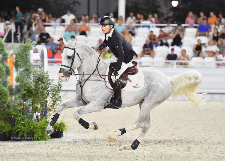 1.15m Jumper II.2b - CSI3* WEC Ocala Winter Spectacular Show Series IX ...