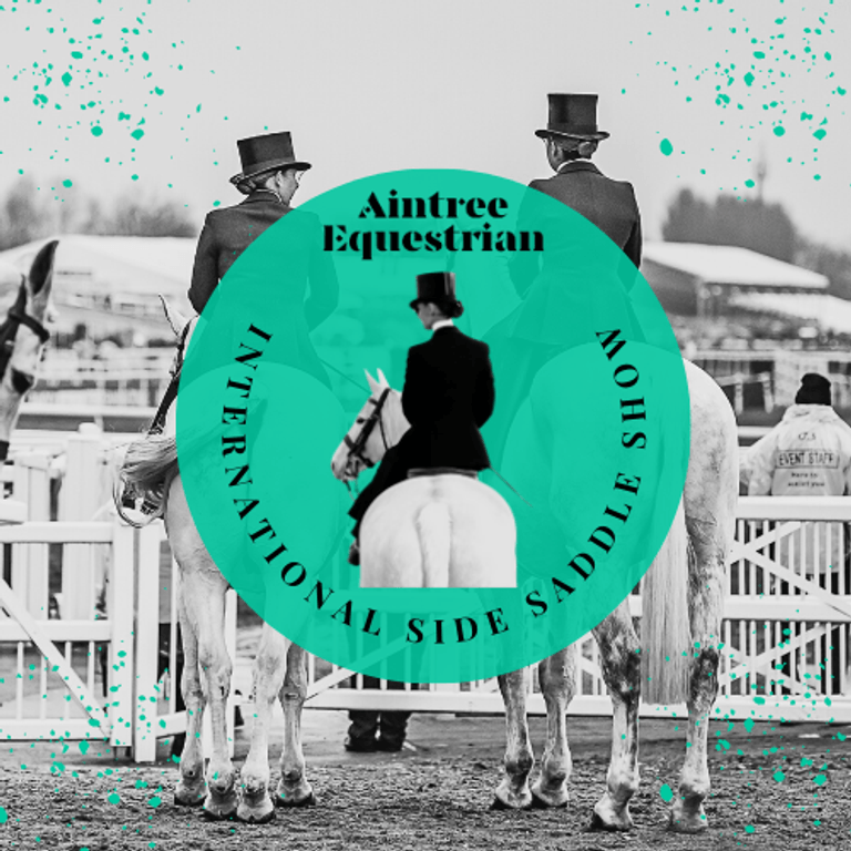 Mixed Heights Working Hunter Horse or Pony - Aintree - International ...