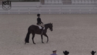 11 & Under Equitation - The Championship Show - Western Competitions ...
