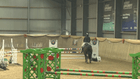 ONLEY GROUNDS 1.15M OPEN GRAND PRIX QUALIFIER - Onley 4 Day Senior Show ...