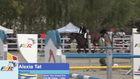 Silver Tour Grand Prix Clip My Horse - 1.20m Table A against the clock ...