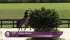5 Year Old Young Jumper 1.15m-1.20m II - WEC Ocala Winter Spectacular ...