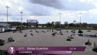 $1000 1.30 Meter Jumper II.2b - CSI3* WEC Ocala Winter Spectacular Show ...