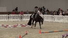 $500 NSBA 13 & under Youth Trail & AQHA - Orange Blossom Classic ...