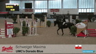 Jumping competition for young horses 105cm - for 4-5yo horses - Linz ...