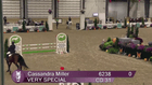 $1500 NAL/WIHS Junior Jumper Classic 1.10m 2.2b / $1500 NAL/WIHS ...