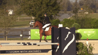$2500 1.10m NAL/WIHS Amateur Classic II.2b - CSI3* Ocala Winter ...