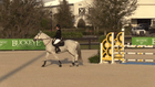 $2500 1.10m NAL/WIHS Amateur Classic II.2b - CSI3* Ocala Winter ...