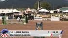 .85m Jr Am Jumper II 2(b) - LAKE PLACID HORSE SHOW - 2025 | Videos ...