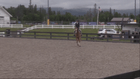 Small Pony Hunter O/F - LAKE PLACID HORSE SHOW - 2025 | Videos, Live ...
