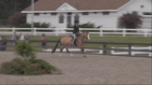 Small Pony Hunter O/F - LAKE PLACID HORSE SHOW - 2025 | Videos, Live ...