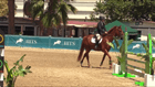 (247)$1,000 1.40m Jumper/1.10m Jumper/ Amateur 1.10m Jumper/Junior 1 ...