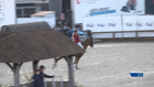 CSI1* - 1m30 - Against the clock - 238.2.1 - - Powered by De Sutter ...