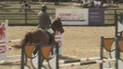 Weston Lawns Midi Veteran 2025 - Weston Lawns - Amateur & Veteran Grand ...