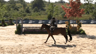 (2701)GREAT LAKES EQUESTRIAN REALTY ADULT AMATEUR HUNTER - Longines FEI ...