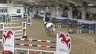 The Trevor Burrows National 1.30m Open Grand Prix - The 20th Arena UK ...