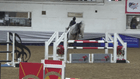 The Trevor Burrows National 1.30m Open Grand Prix - The 20th Arena UK ...