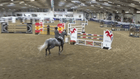 The Trevor Burrows National 1.30m Open Grand Prix - The 20th Arena UK ...