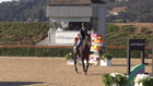 $3,000 Tahoe Beach Club 1.30m JR/AM Jumper Classic II.2.b / 1.20 Junior ...