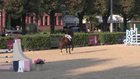 H130 CSI1* Comp. Against the Clock - CSI3* Gorla Minore - 2025 | Vídeos ...