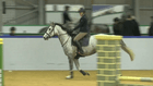 KBIS Club - Senior 80cm / Junior 80cm - SNEC - British Showjumping 2 ...
