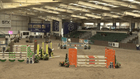 Blue Chip Joint Care Power Championship – Qualifier / Senior 1.10m Open ...