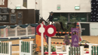 Pony 1.00m Open (inc. Pony Restricted Rider 1.00m Qualifier) - Aintree ...