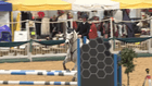 Pony 1.00m Open (inc. Pony Restricted Rider 1.00m Qualifier) - Aintree ...