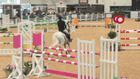 Winter JA Classic - Aintree - Large Pony Premier - 2026 | Videos, Live ...