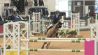 Winter JA Classic - Aintree - Large Pony Premier - 2026 | Videos, Live ...