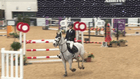 Winter JA Classic - Aintree - Large Pony Premier - 2026 | Videos, Live ...