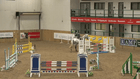 Senior Newcomers Championship - First Round / Senior 1.10m Open ...
