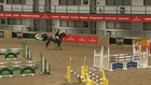 Senior Newcomers Championship - First Round / Senior 1.10m Open ...