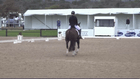 Goodwoods Saddlery CPEDI2* Para Intermediate Freestyle IV - Carlton ...