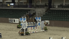 Senior British Novice Championship First Round - Addington Equestrian ...