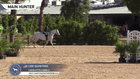 (1117) High Performance Hunter/Green Hunter 3'9"/Handy - 1 3'9 Jump 1st ...