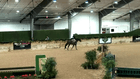 $12500 USHJA National Hunter Derby 3' Non Pro - WEC Ohio Winter Classic ...
