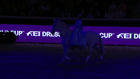 Alizée Froment - Féérie - Jumping Mechelen - FEI World Cup™ Jumping ...