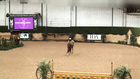 $150 Performance Hunter 3'6" U/S/$200 Green Hunter 3'6" & 3'9" U/S ...